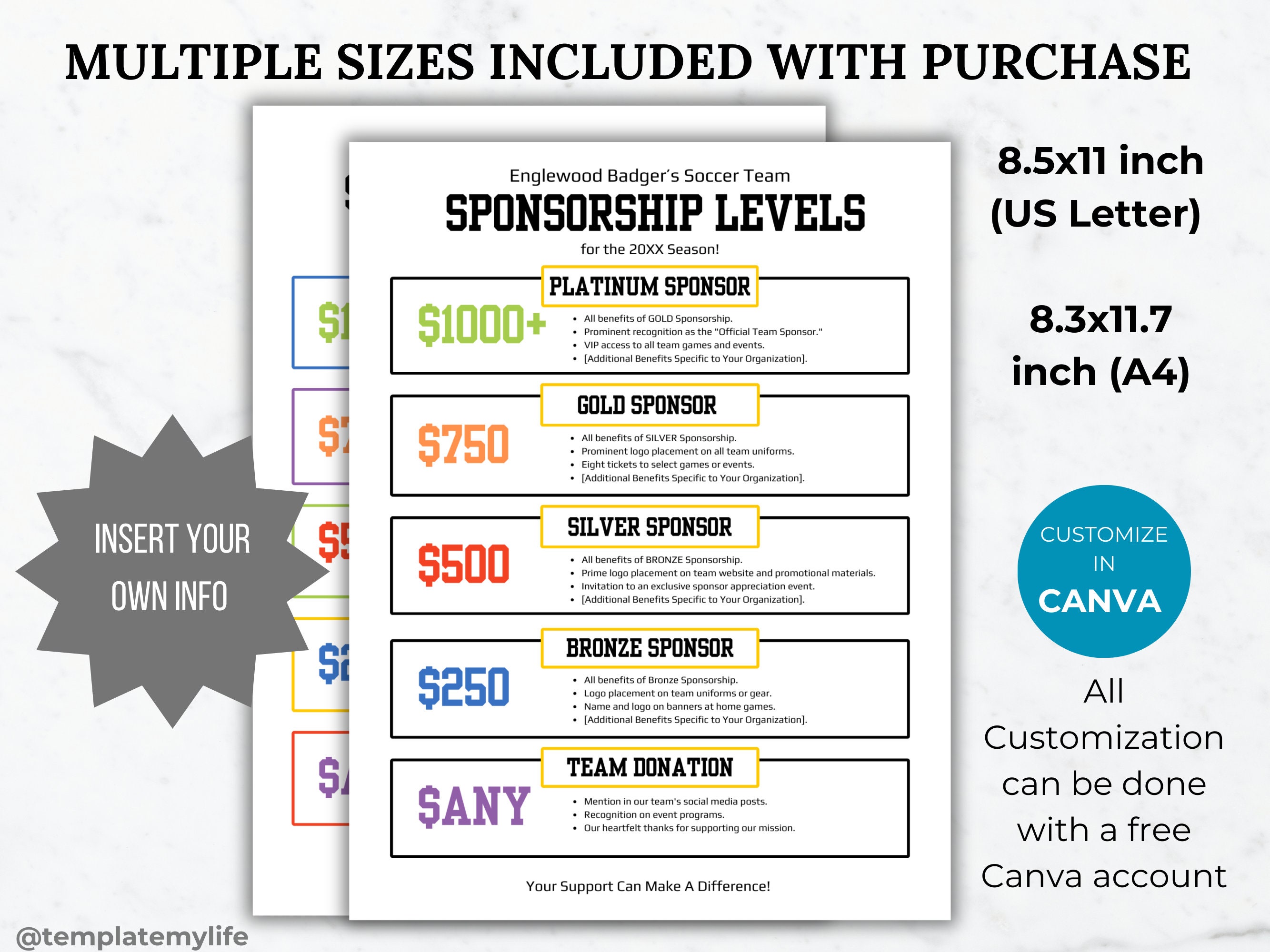 Sponsorship Level Flyer Printable Club Sponsorship Level Editable ...
