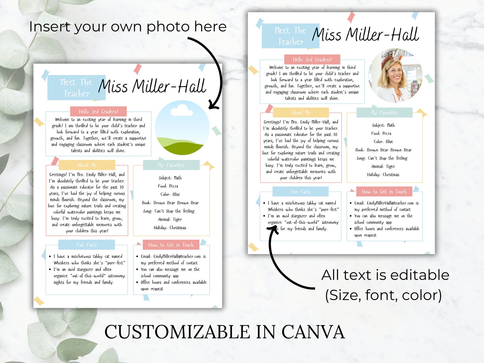 Meet the Teacher Editable Canva Template Class Newsletter Printable ...