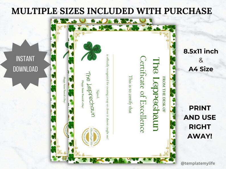 Leprechaun Trap Printable Certificate Leprechaun Gift St Patricks Day ...