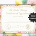 Easter Bunny Certificate for Kid Printable Easter Bunny Gift for Kid ...