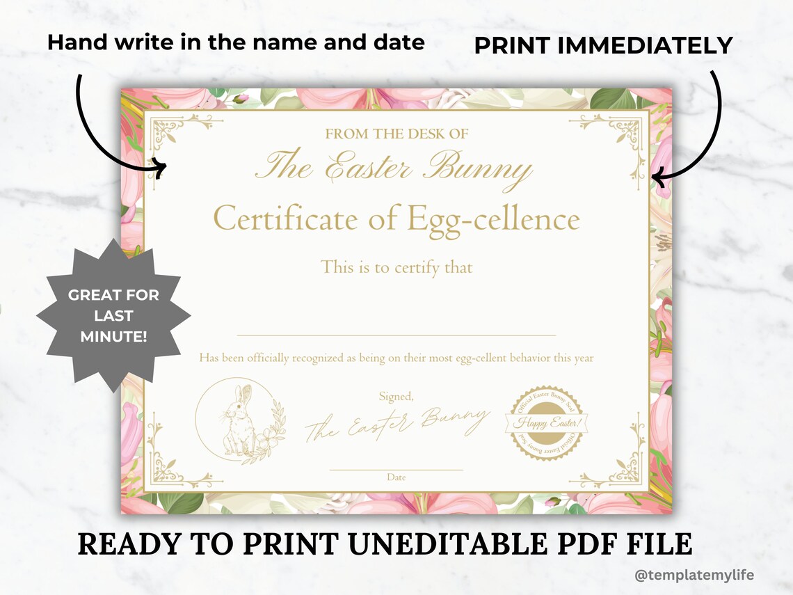 Easter Bunny Certificate for Kid Printable Easter Bunny Gift for Kid ...