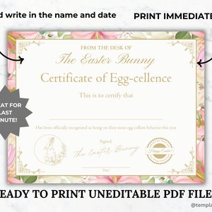 Easter Bunny Certificate for Kid Printable Easter Bunny Gift for Kid ...