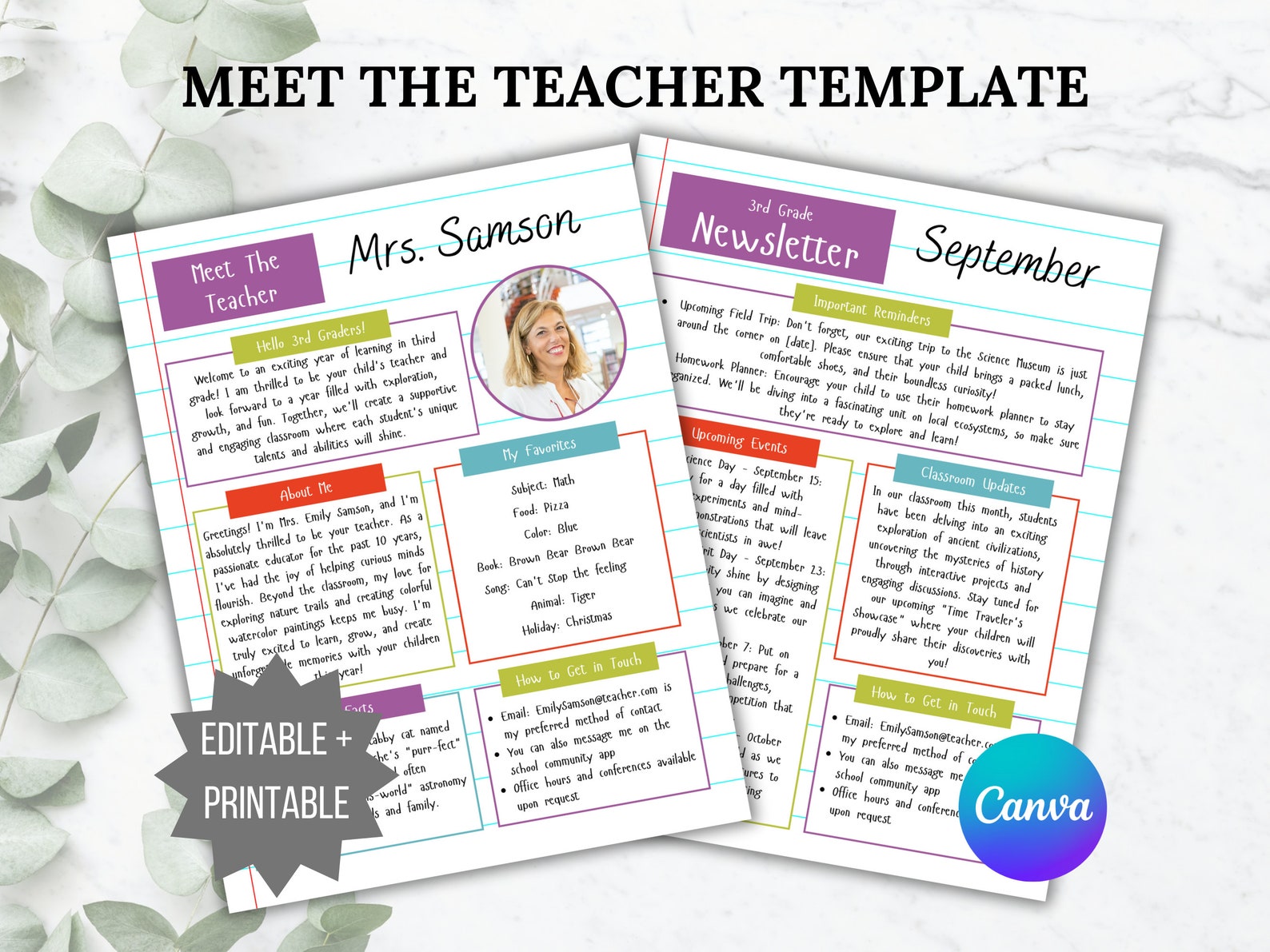 Meet the Teacher Editable Canva Template Class Newsletter - Etsy
