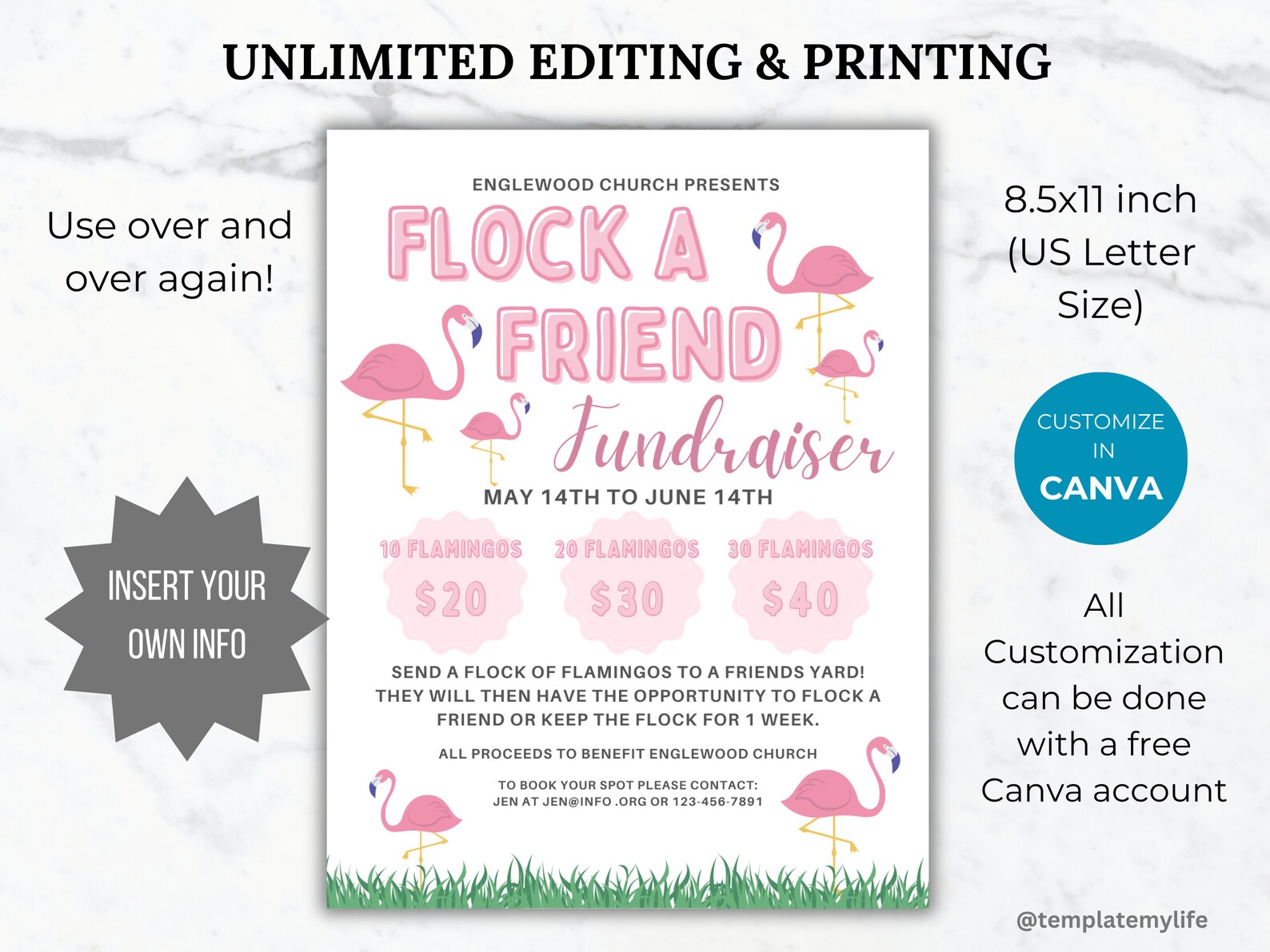 Flock a Friend Flyer Editable Flock My Yard Fundraiser Flyer PTA ...