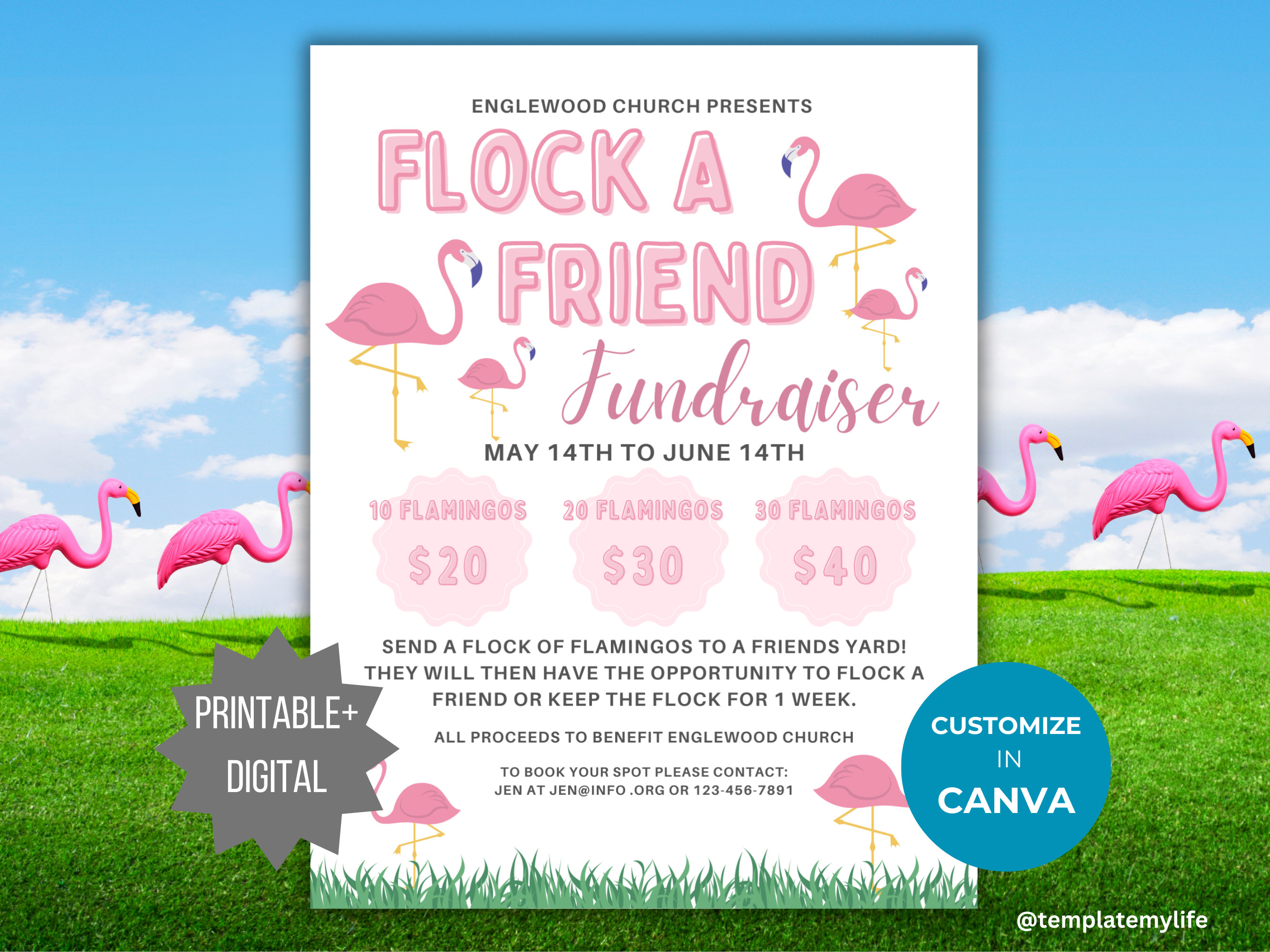Flock a Friend Flyer Editable Flock My Yard Fundraiser Flyer PTA ...