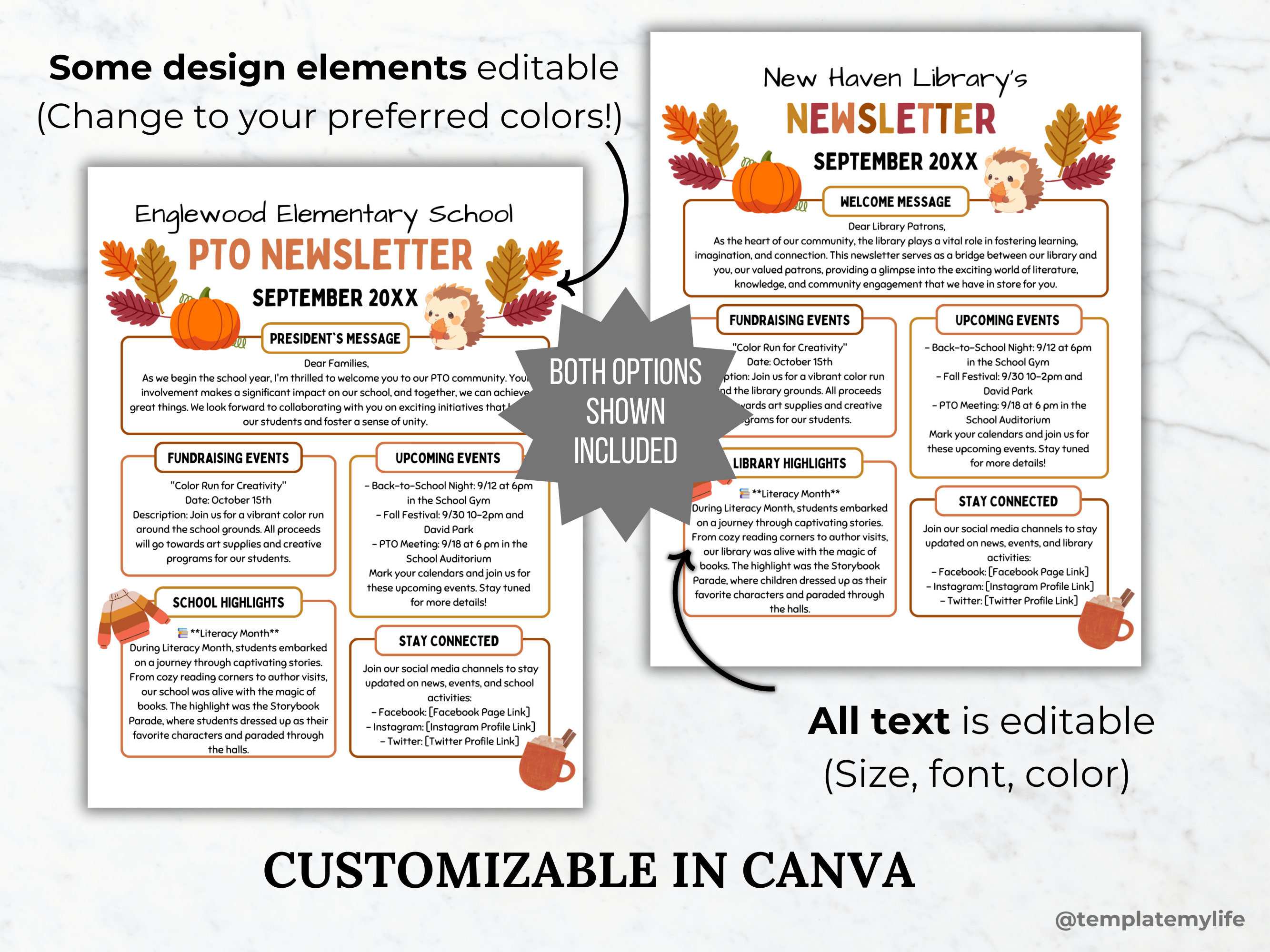 Fall Newsletter Flyer Printable Community Newsletter Flyer Editable ...