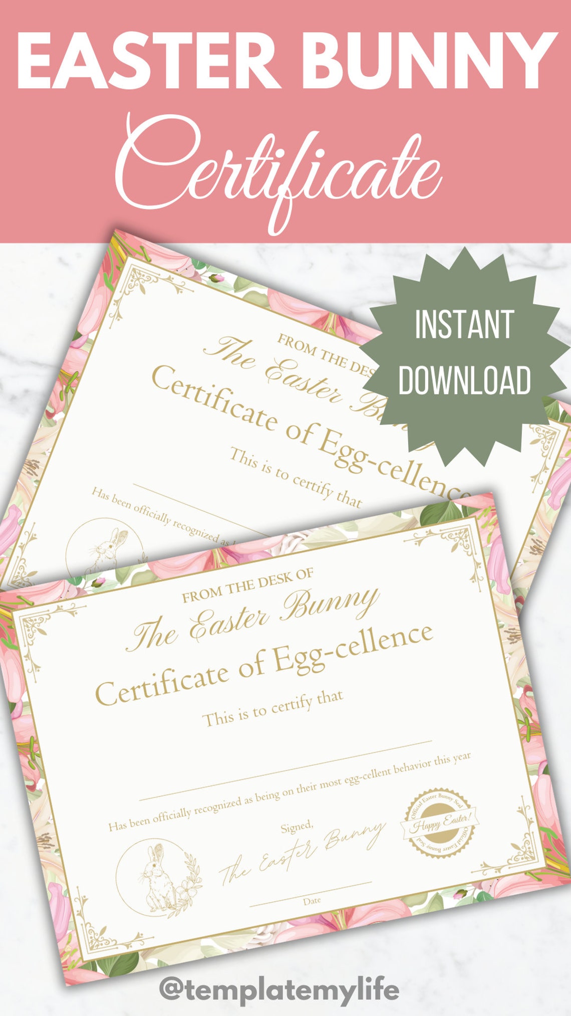 Easter Bunny Certificate for Kid Printable Easter Bunny Gift for Kid ...