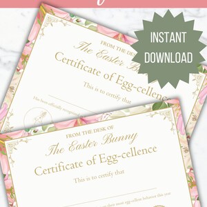 Easter Bunny Certificate for Kid Printable Easter Bunny Gift for Kid ...