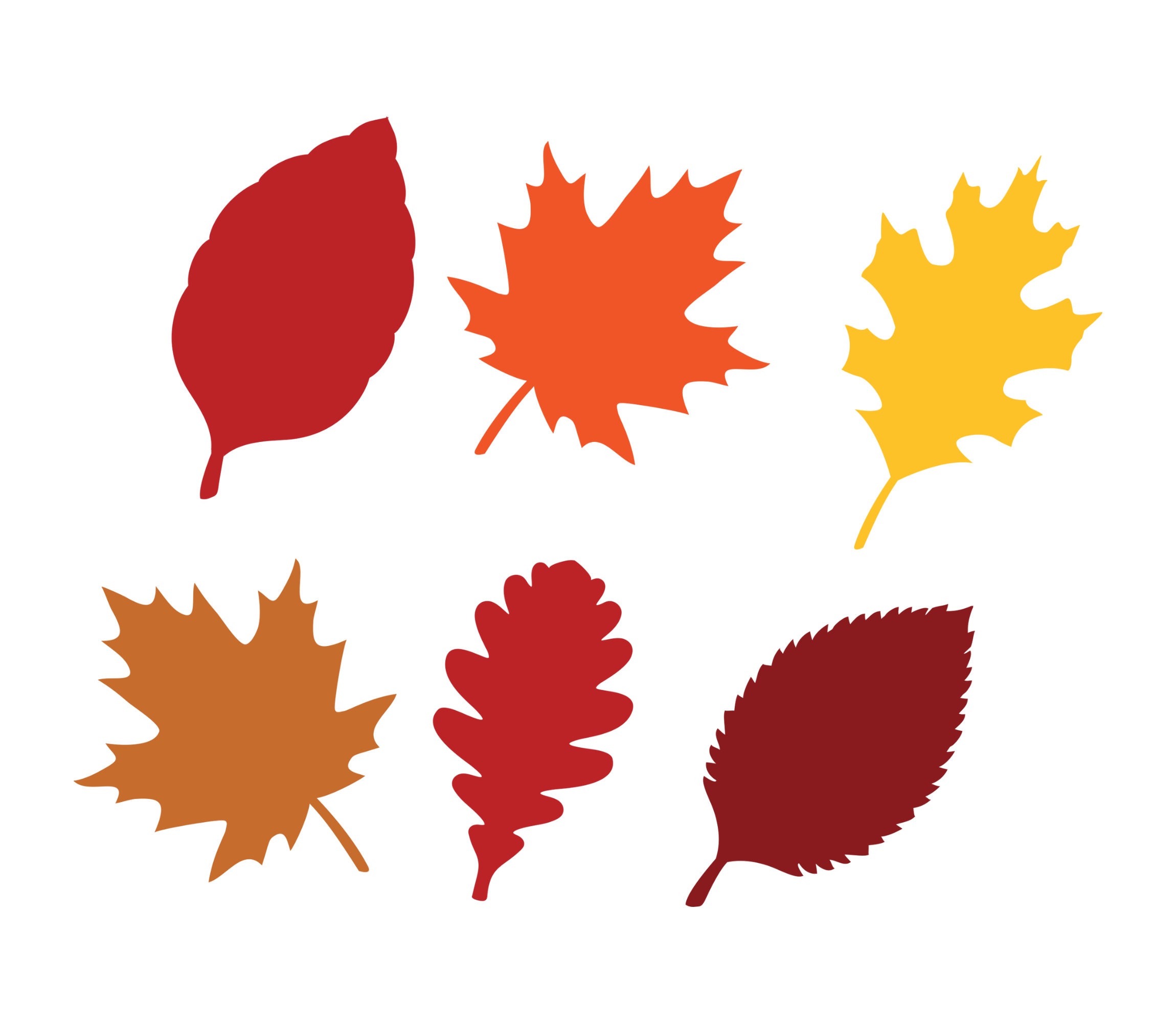 Fall Leaves Svg Fall Svg Fall Leaf Svg Bundle Fall Png - Etsy