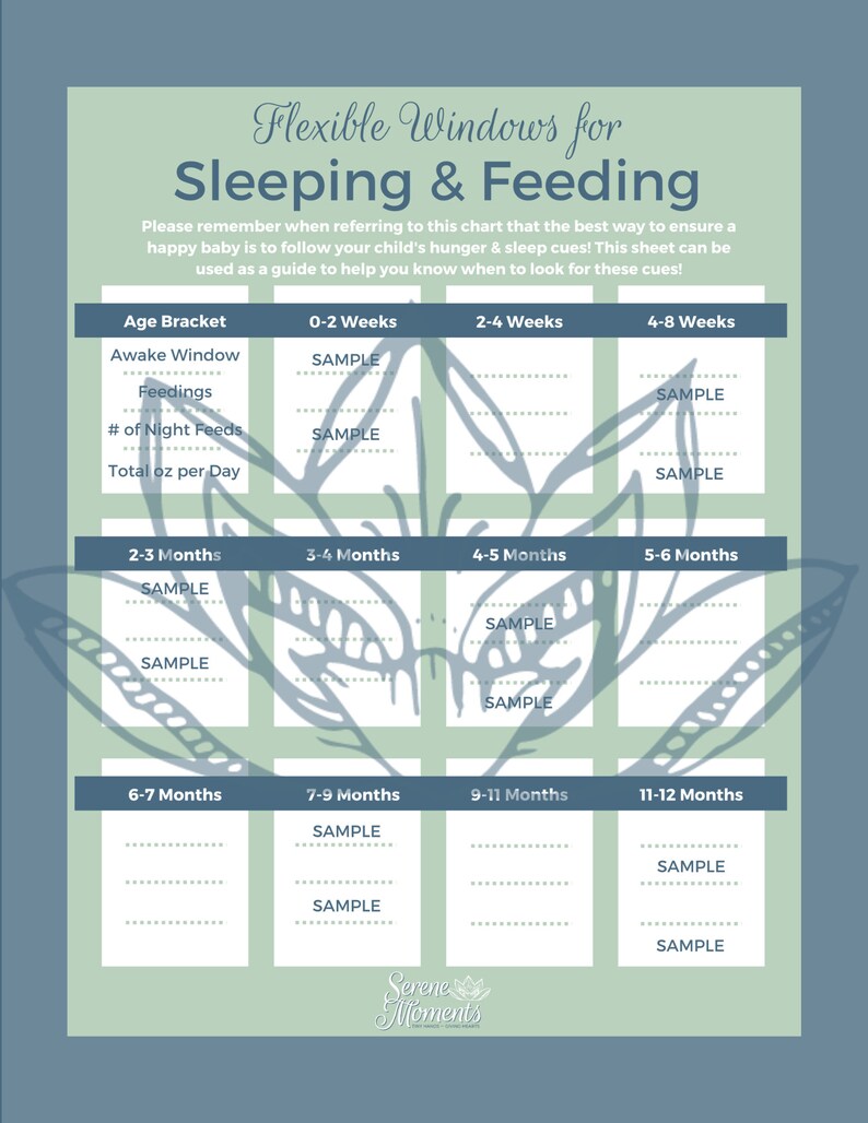 Sleep & Feeding Windows (1st Year) - Etsy