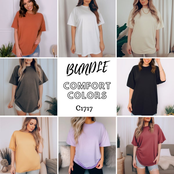 Comfort Colors Mockup 1717 Color Chart - Etsy