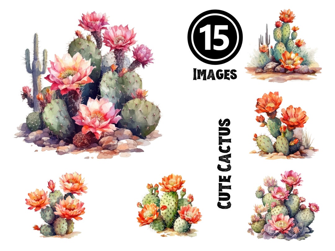 Watercolor Cactus Clipart 15 JPG Illustrations Set Digital Download for ...