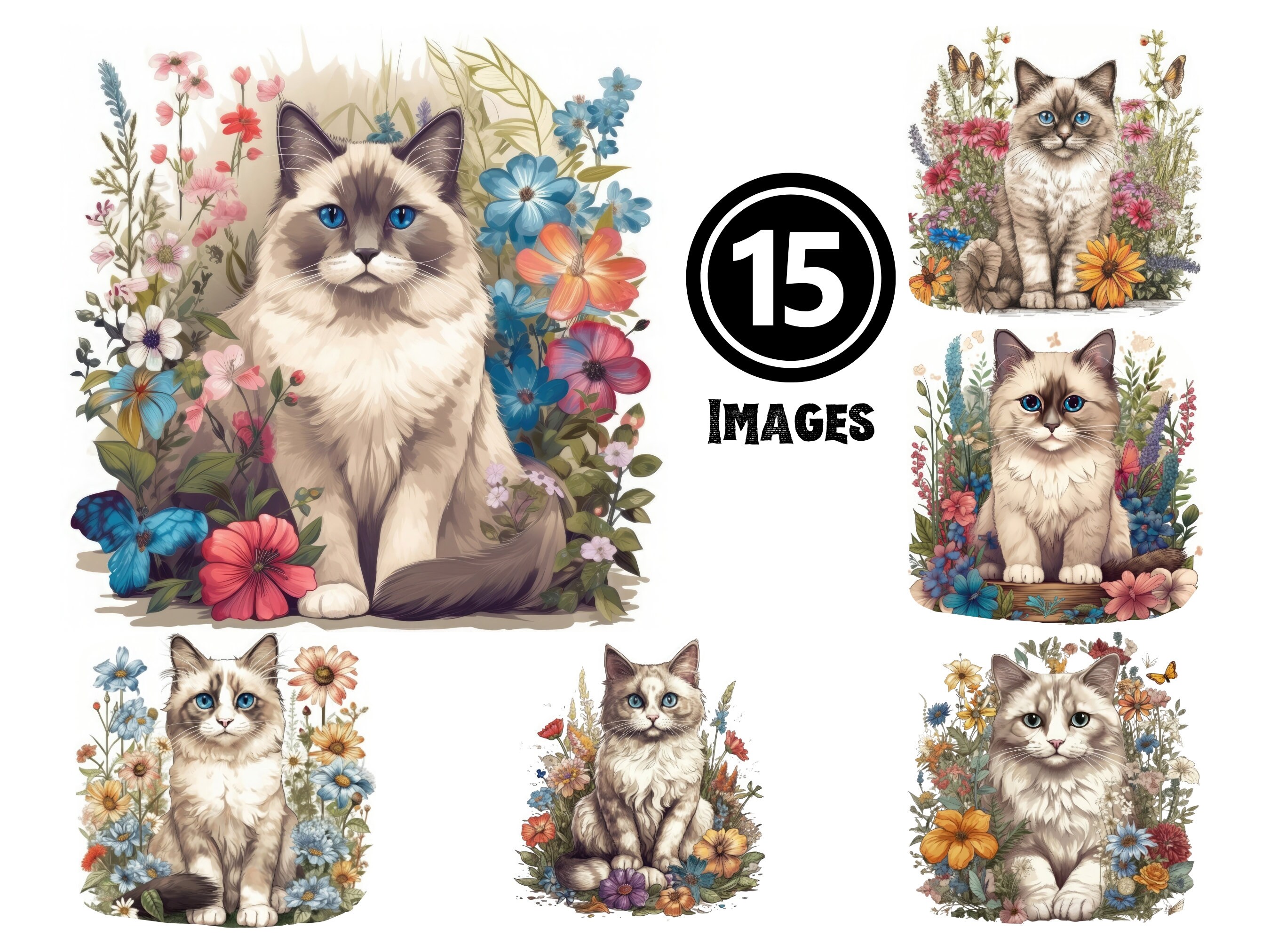 Ragdoll Kitten Clipart Bundle 15 JPG Adorable Cat Illustrations Instant ...