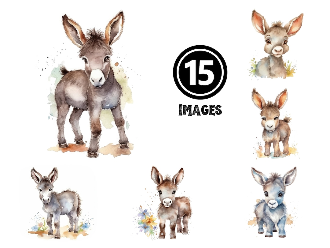 Baby Donkey Clipart Set 15 JPG Illustrations Cute Farm Animal Digital ...