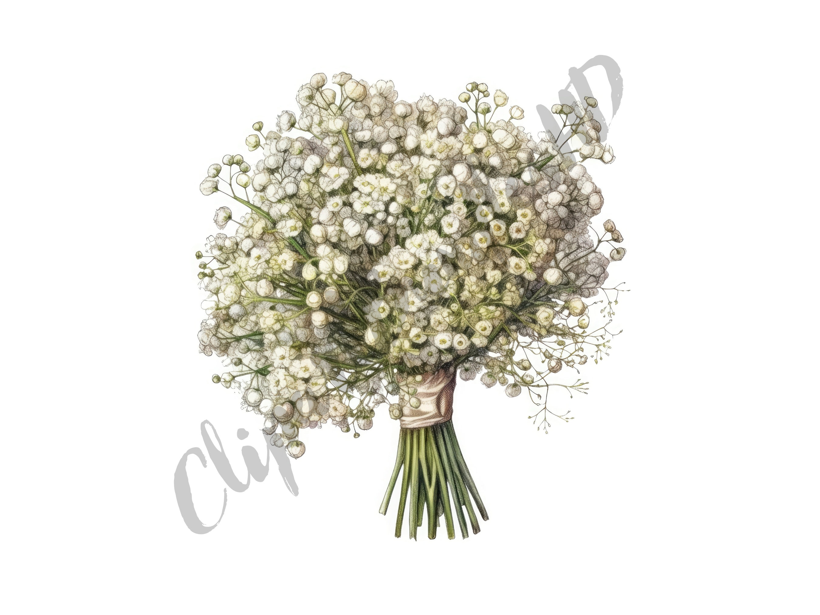 Baby Breath Bouquet Clipart Deluxe Set 15 JPG Digital Downloads Elegant ...