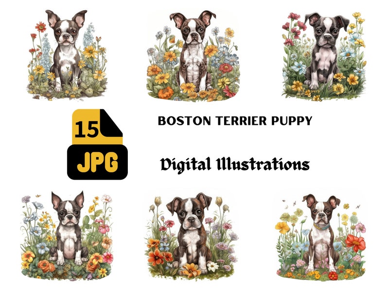 Boston Terrier Puppy Clipart Collection 15 JPG Illustrations Digital ...