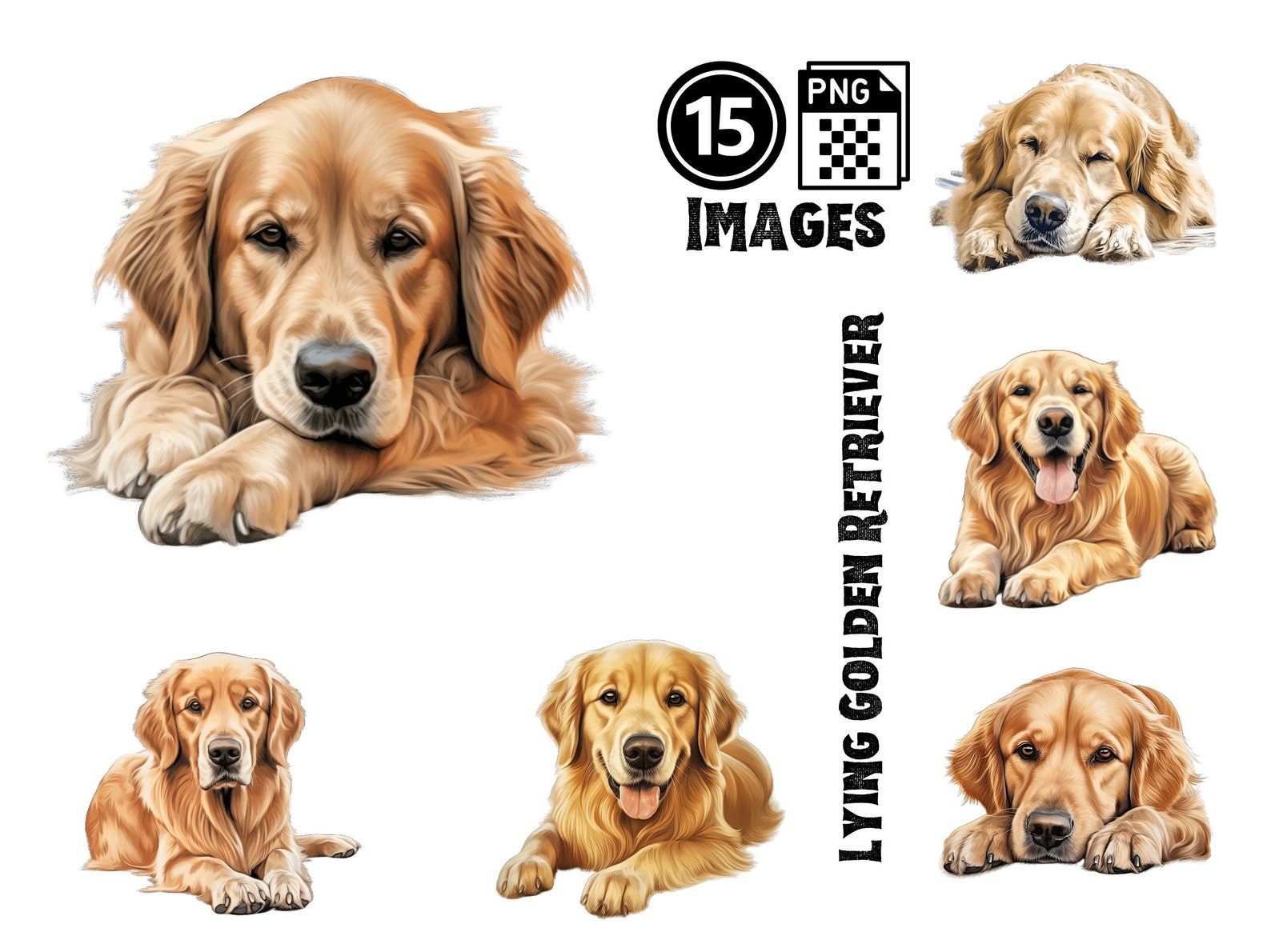 Golden Retriever Clipart: 15 Lying Poses, Realistic Dog PNG (digital ...