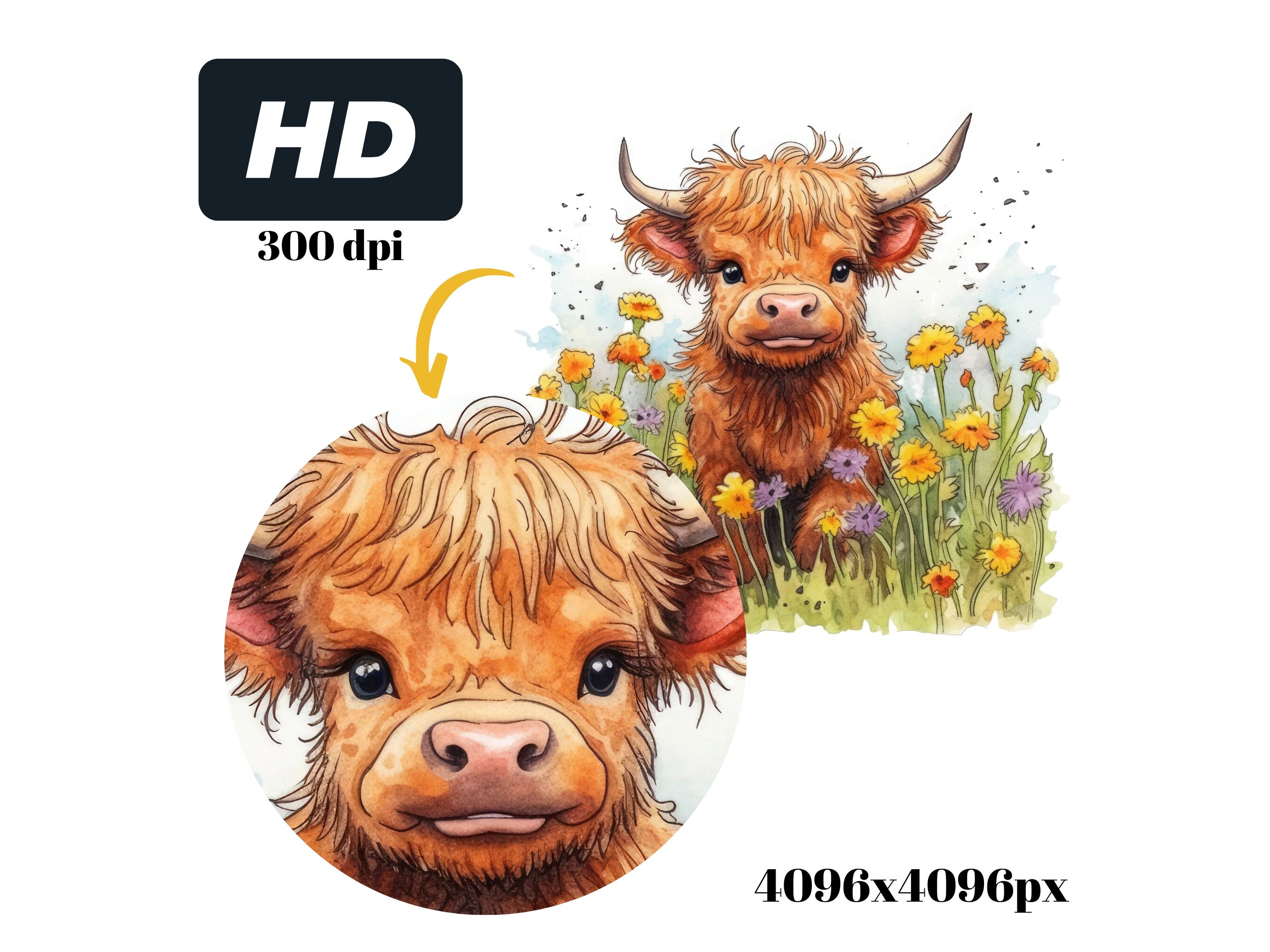 Realistic Highland Cow Baby Watercolor Clipart 15 JPG - Etsy