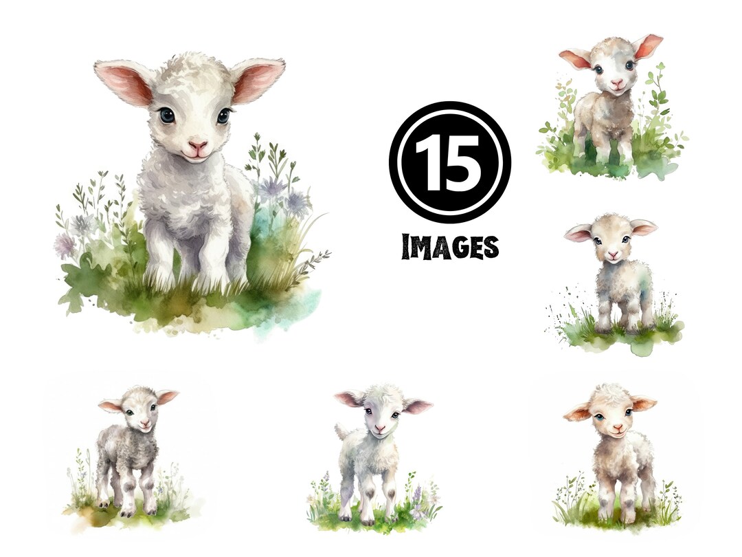 Lamb Baby Clipart Collection 15 JPG Illustrations Digital Download ...