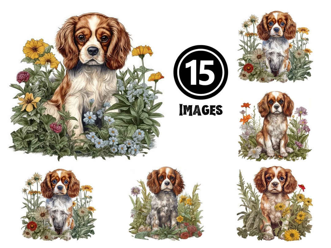 Cavalier King Charles Spaniel Puppy Clipart: Dog Lover Art (15 JPG ...