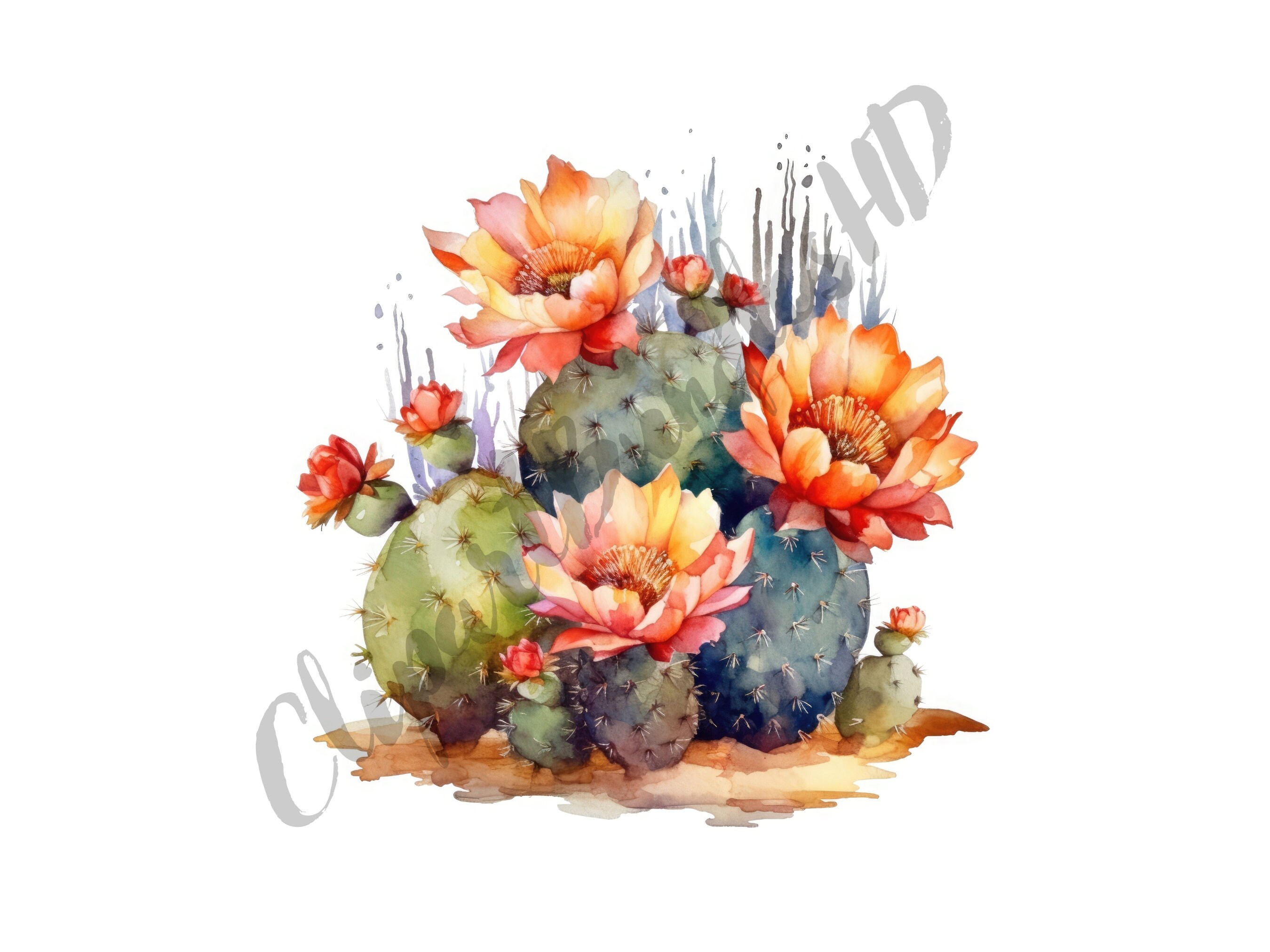 Watercolor Cactus Clipart Set: 15 JPG Illustrations (digital Download ...