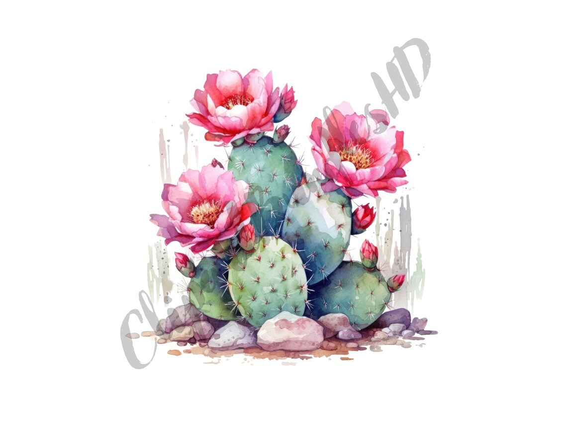 Watercolor Cactus Clipart Set: 15 JPG Illustrations (digital Download ...