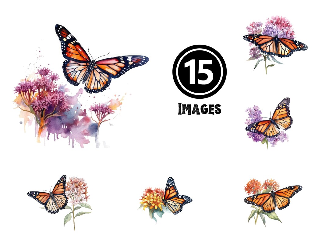 Watercolor Monarch Butterfly Clipart: 15 Nature Illustrations (digital ...