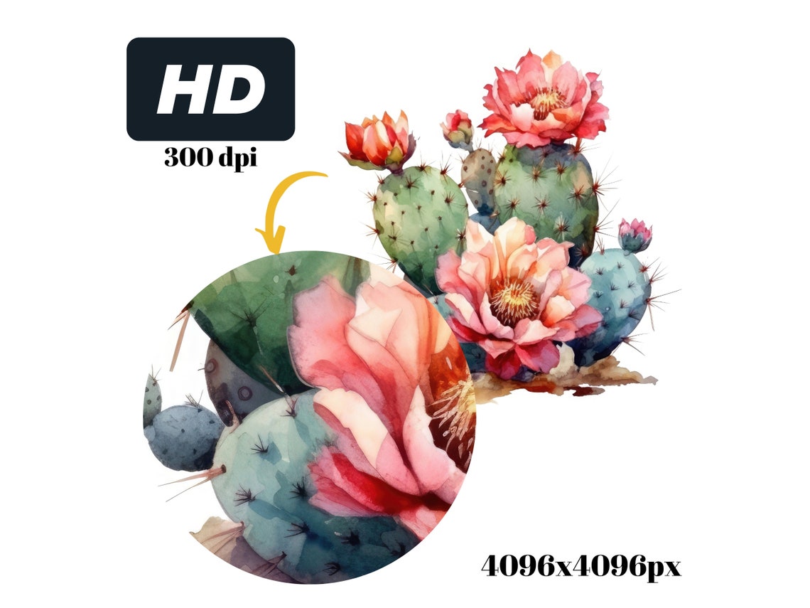 Watercolor Cactus Clipart Set: 15 JPG Illustrations (digital Download ...