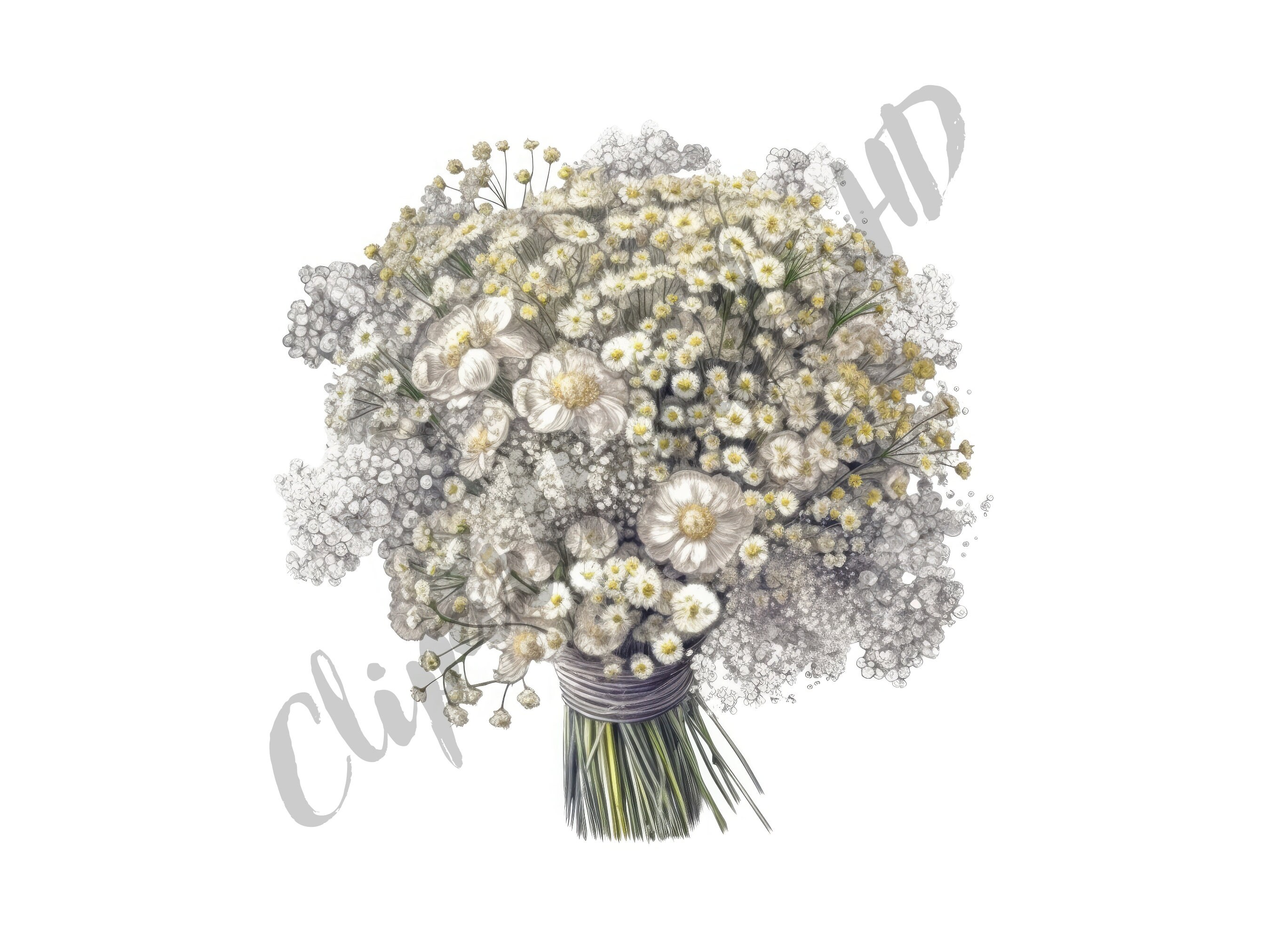 Baby Breath Bouquet Clipart Deluxe Set 15 JPG Digital Downloads Elegant ...