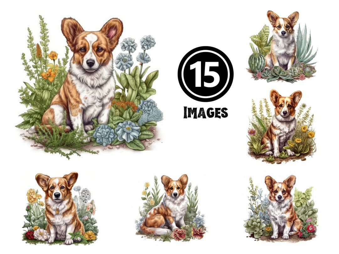 Pembroke Welsh Corgi Puppy Clipart Set 15 JPG Illustrations Adorable ...