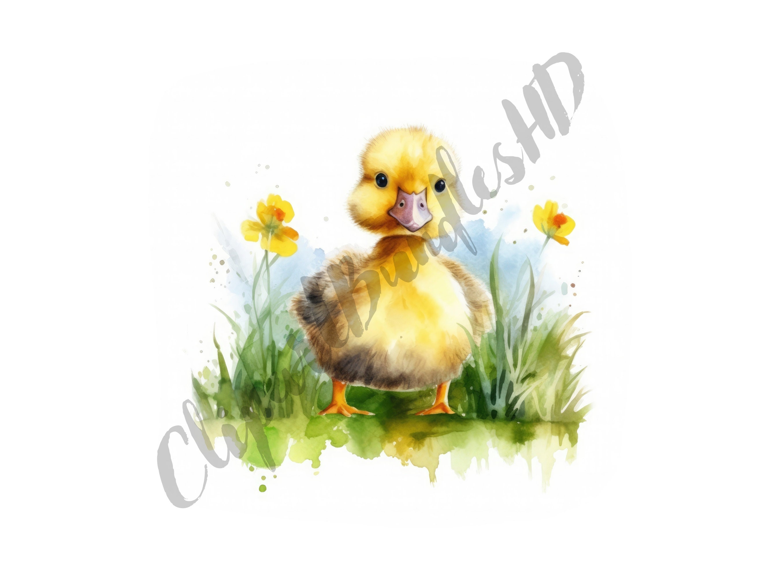 Baby Duck Clipart Bundle Adorable Duckling Illustrations Printable ...
