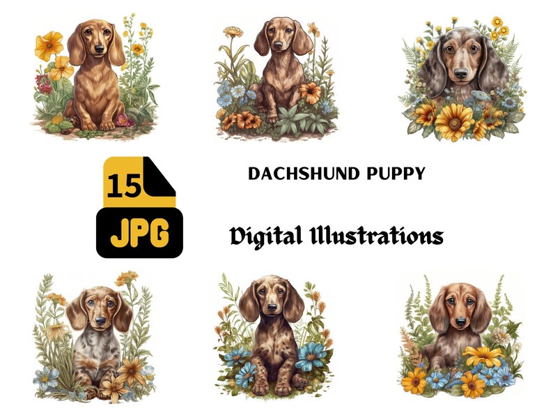 Dachshund Puppy Clipart Set 15 JPG Illustrations Cute Dog Digital ...