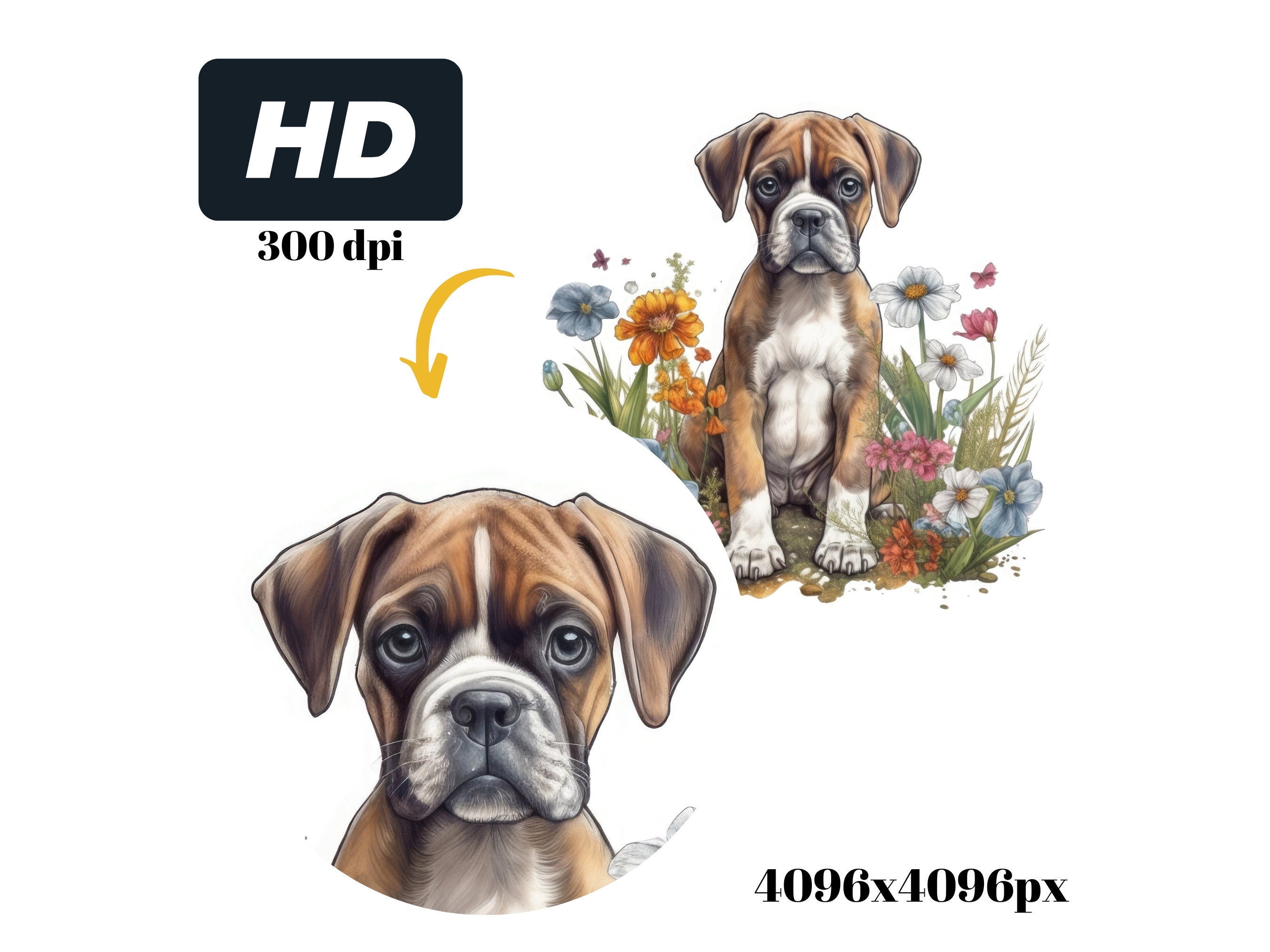Boxer Puppy Clipart Set 15 JPG Illustrations Playful Dog Digital ...