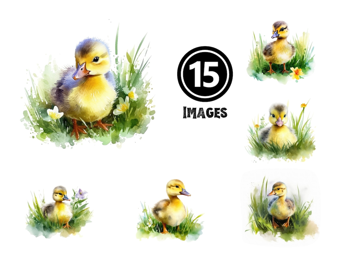 Baby Duck Clipart Bundle Adorable Duckling Illustrations Printable ...