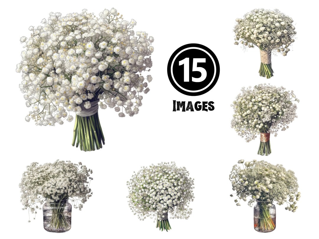 Baby Breath Bouquet Clipart Deluxe Set 15 JPG Digital Downloads Elegant ...