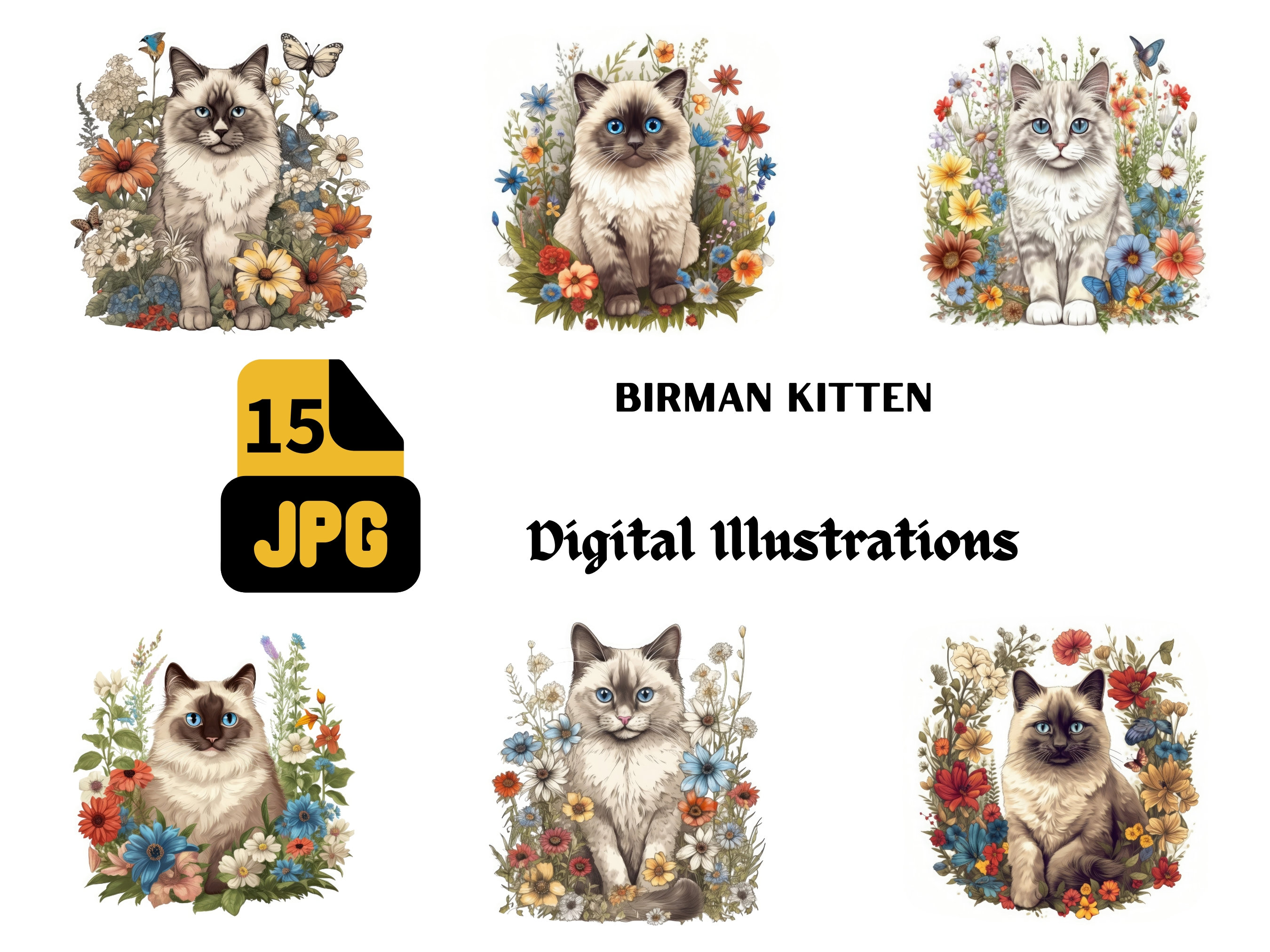 Birman Kitten Cat Clipart Set 15 JPG Illustrations Adorable Feline ...