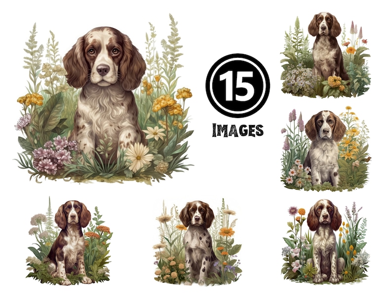 English Springer Spaniel Puppy Clipart: 15 Cute JPG Illustrations ...