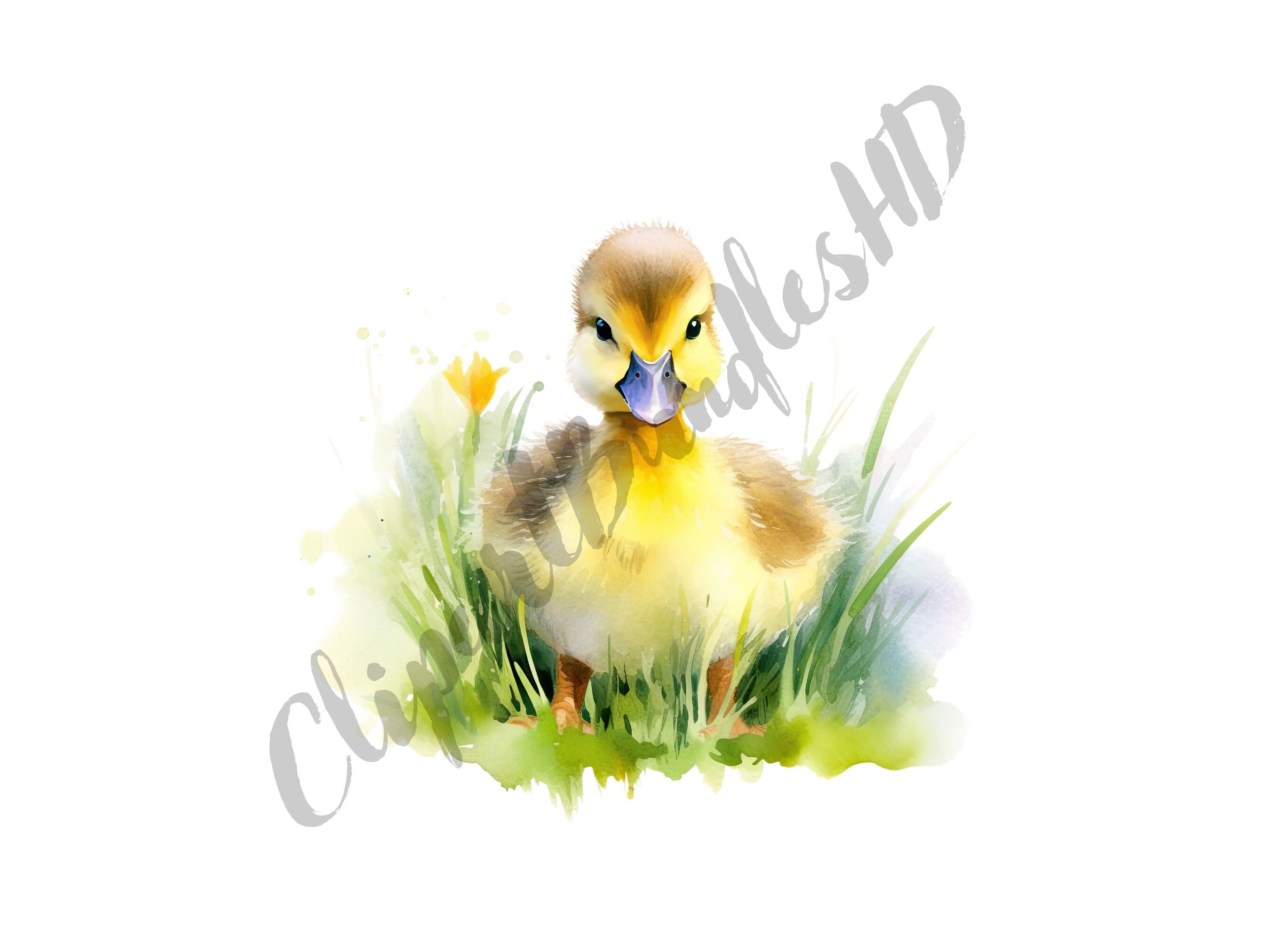Baby Duck Clipart Bundle Adorable Duckling Illustrations Printable ...