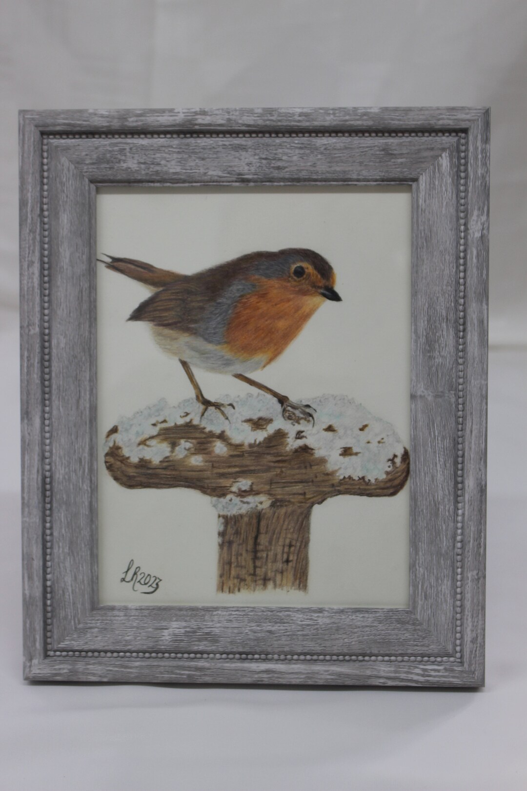Robin A Original Coloured Pencil Drawing - Etsy