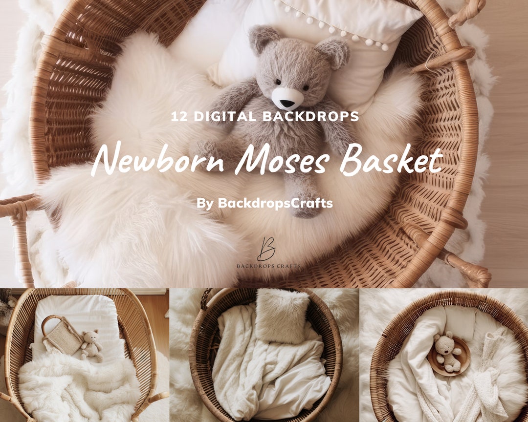 12 X Newborn Moses Basket Digital Backdrops, Boho Baby Moses Cradle ...