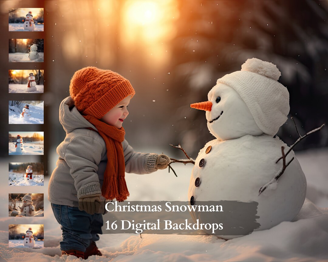 16 Christmas Snowman Digital Backdrops for Photography, Winter Digital ...