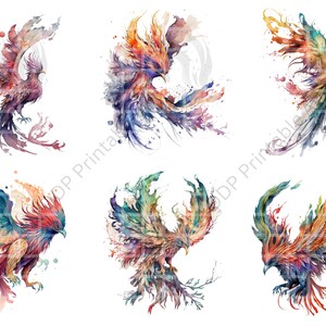 Watercolor Phoenix Clipart Bundle, These Fantasy Phoenix Images Are for ...