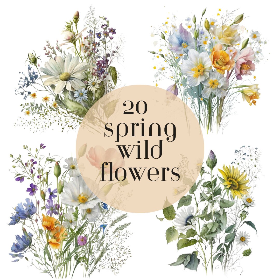 Watercolor Floral Clipart - These Wild Flowers Are for Commercial Use ...