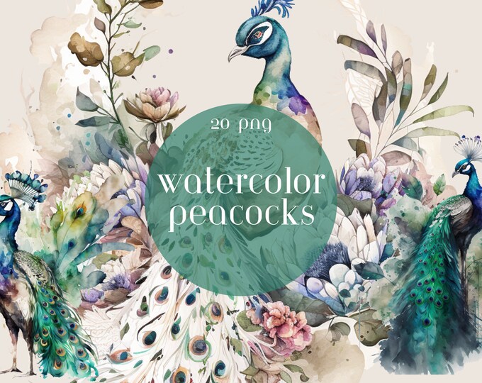 Peacock Watercolor Clipart Peacock and Flowers Vector Clip Art Instant ...
