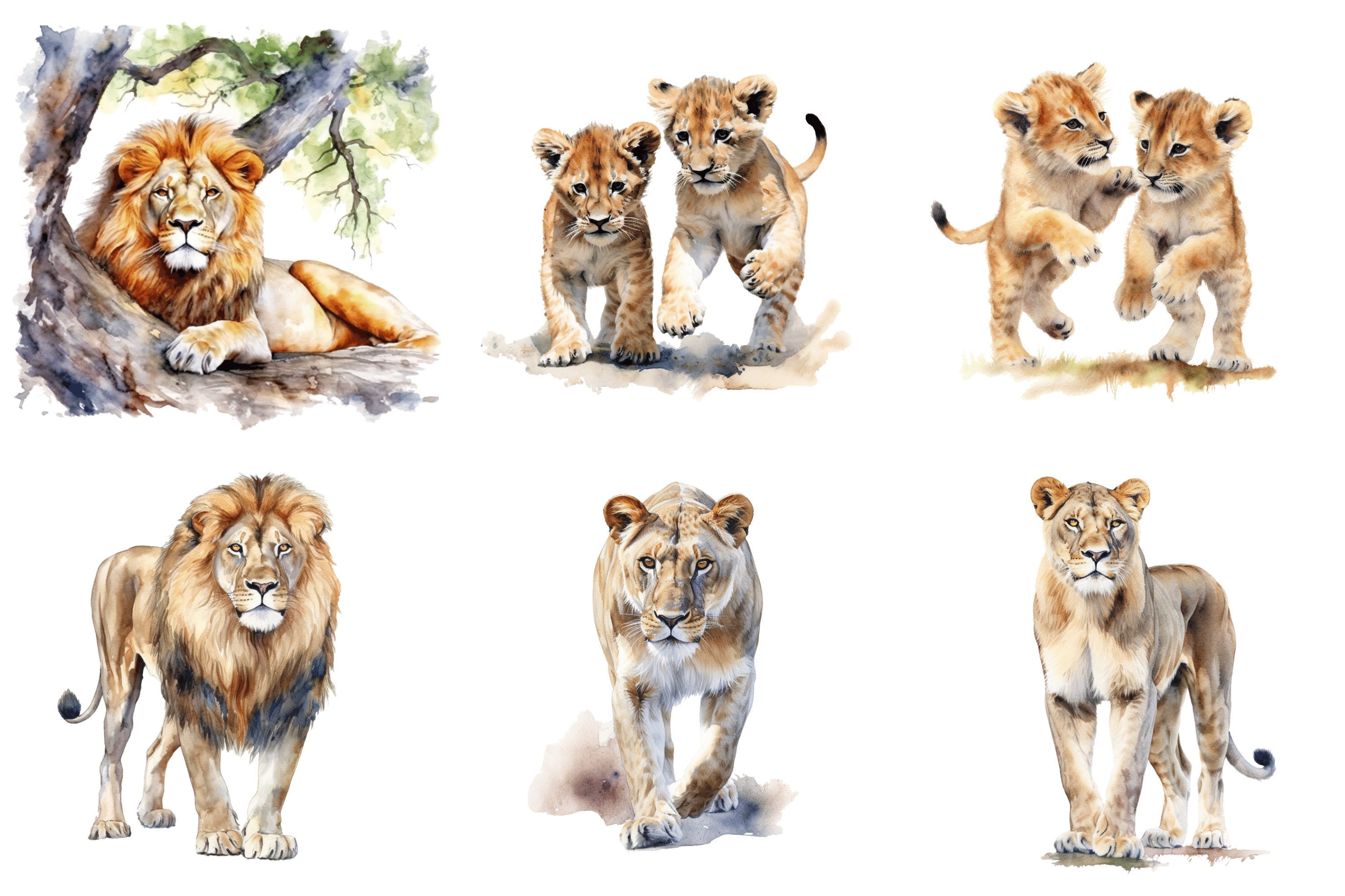 Watercolor African Lion Clipart, These Stunning Wildlife Images Are for ...