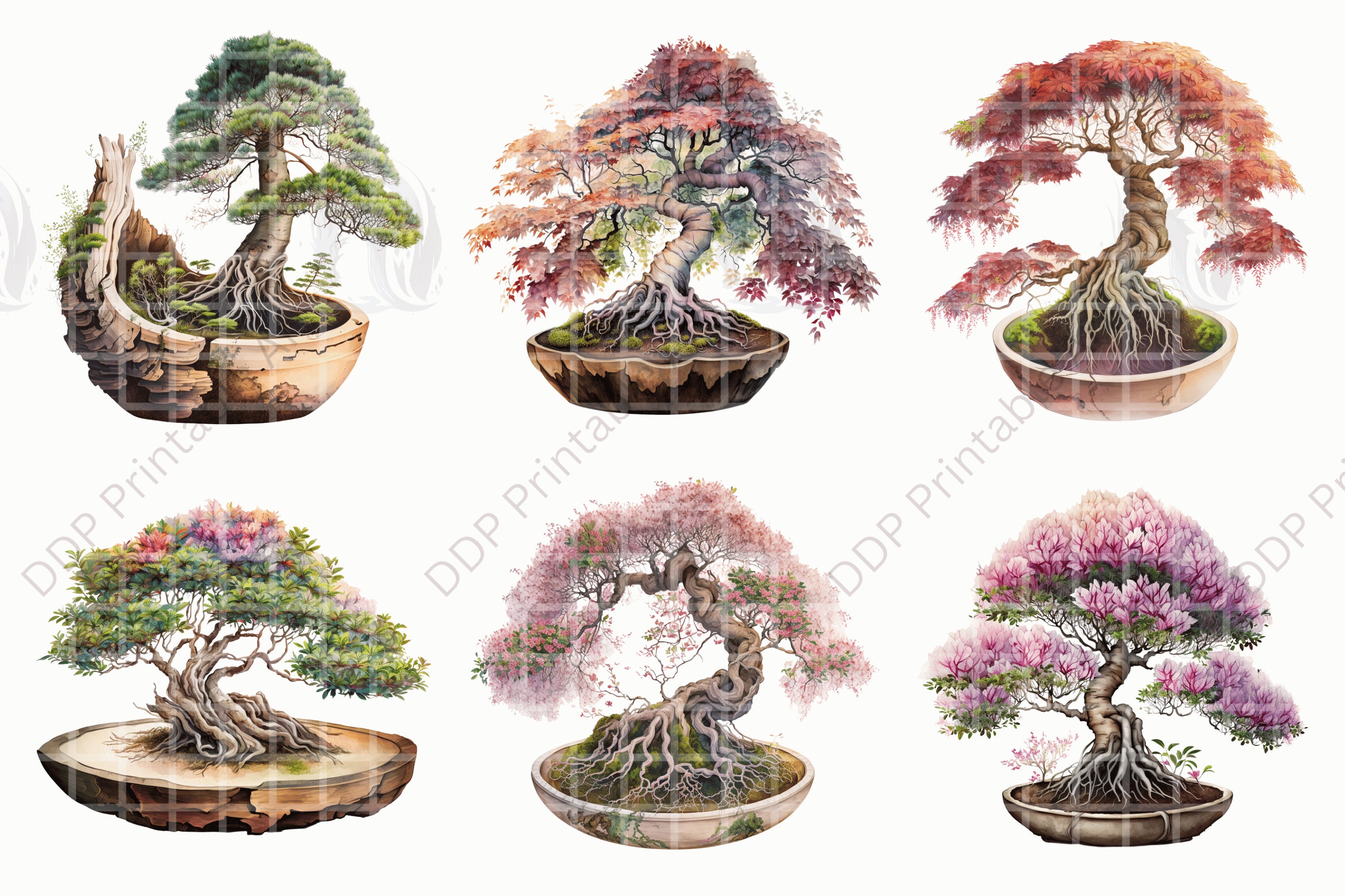 Watercolor Bonsai Clipart, These Bonsai Trees Are for Commercial Use ...