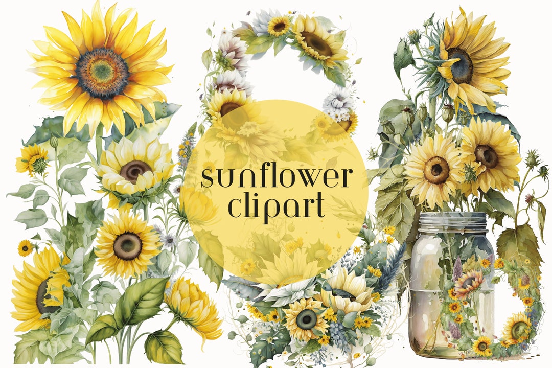 Watercolor Sunflower Clipart These Floral Bouquets Are for Commercial ...
