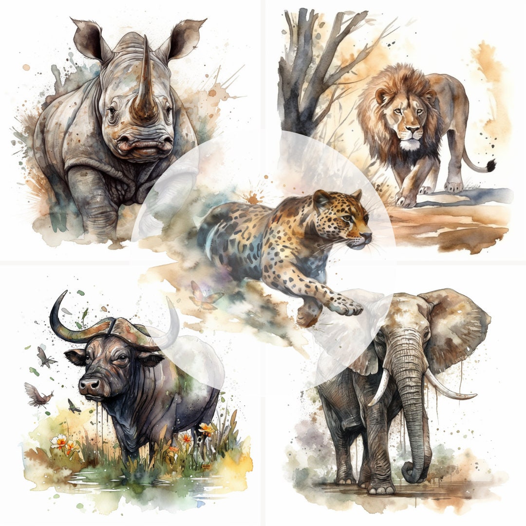 Safari Watercolor Clipart Bundle: Elephant, Rhino, Lion, Leopard ...
