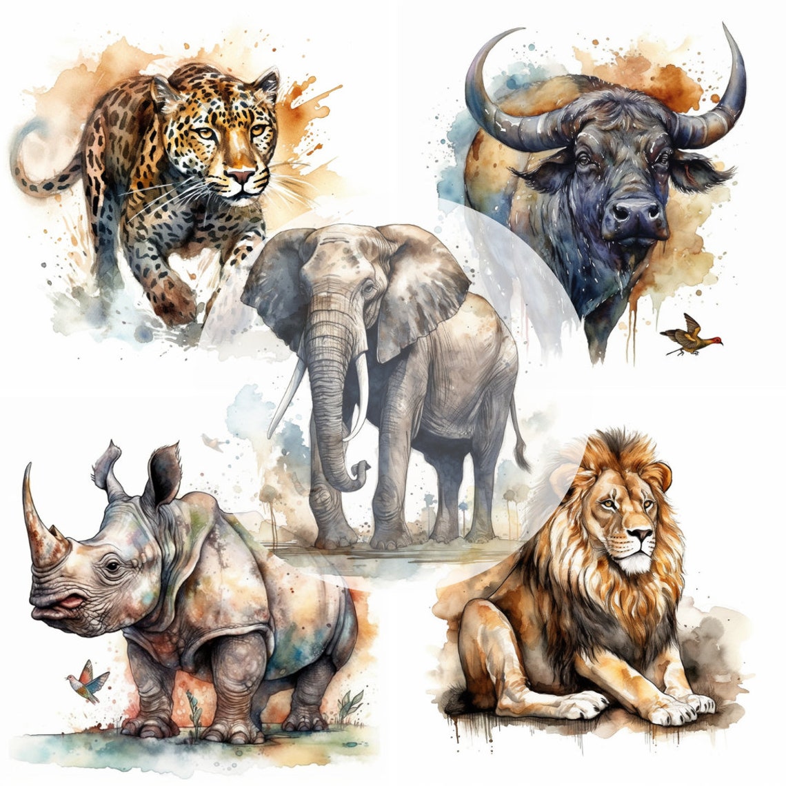 Safari Watercolor Clipart Bundle: Elephant, Rhino, Lion, Leopard ...