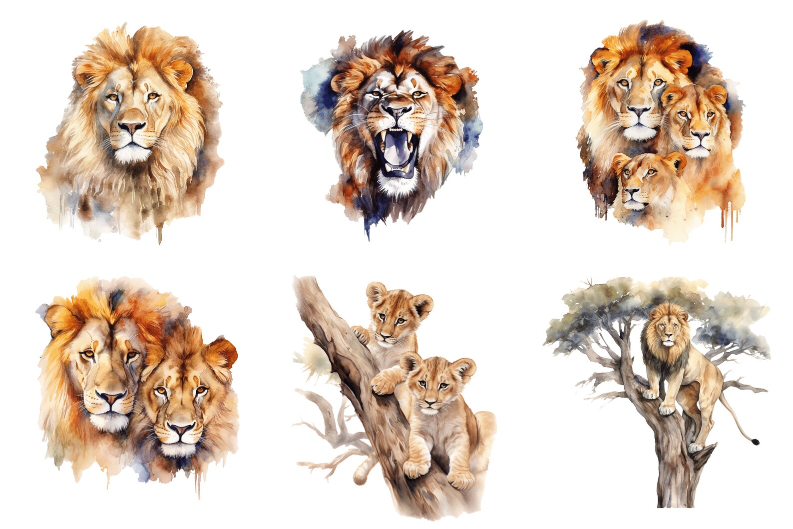 Watercolor African Lion Clipart, These Stunning Wildlife Images Are for ...